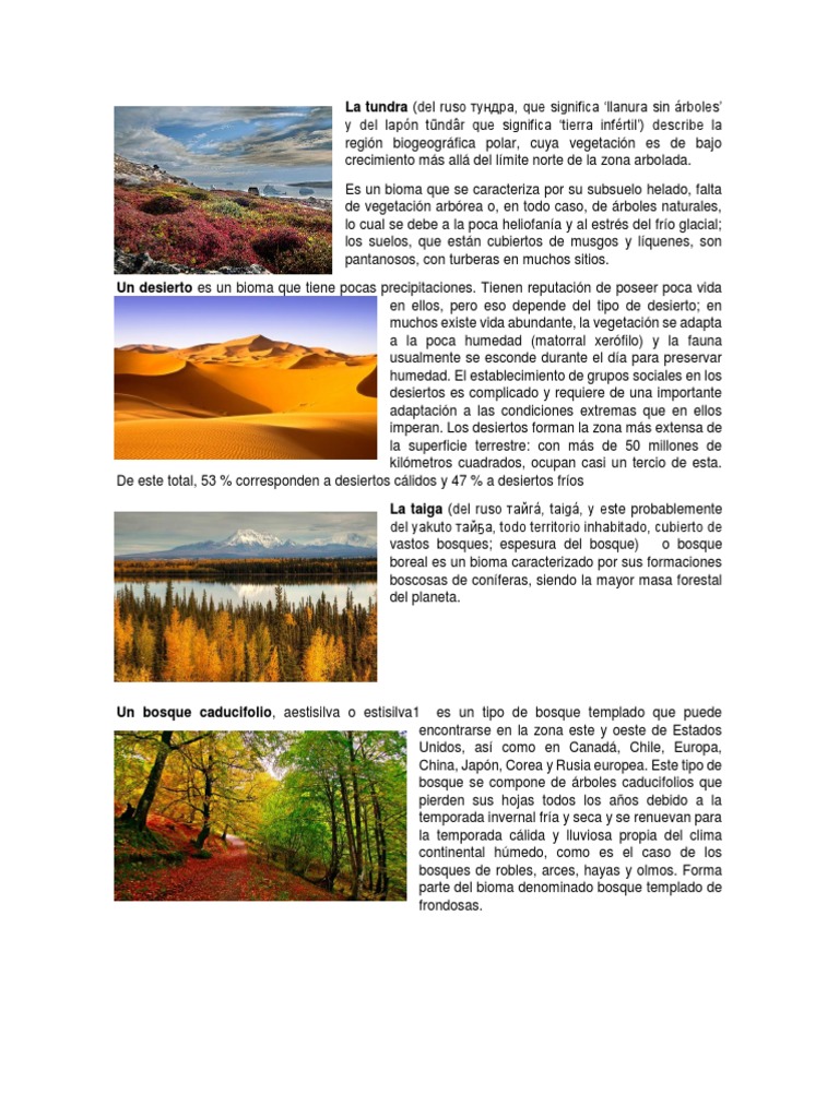 La Tundra | PDF | Ecorregiones | Desierto