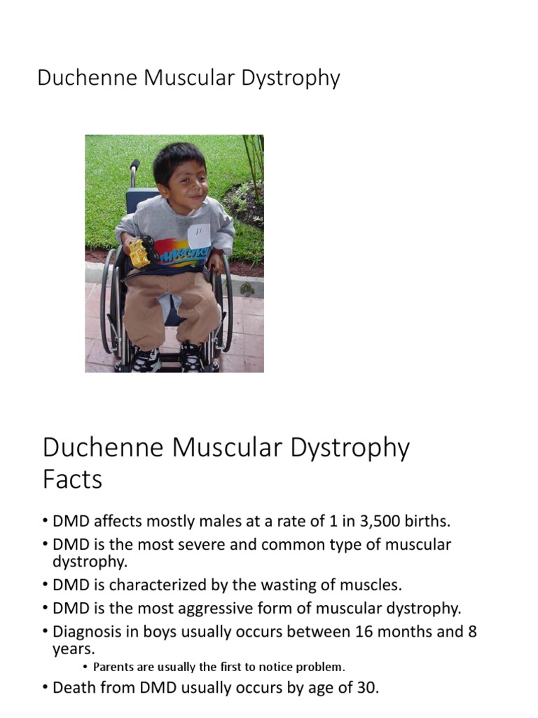 Duchenne Muscular Dystrophy Overview | PDF | Muscular Dystrophy | Genetics