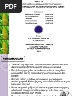 Kel1 - Konsep Dasar Racun Dan Klasifikasi Beserta Contoh | PDF