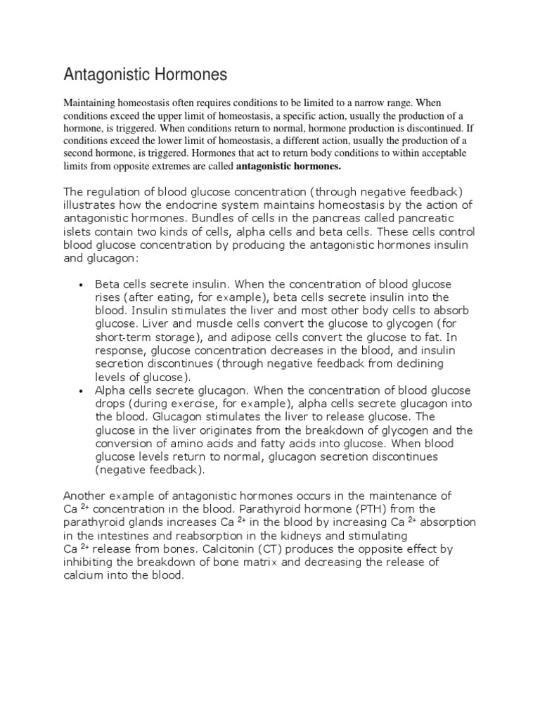Antagonistic Hormones | Homeostasis | Insulin