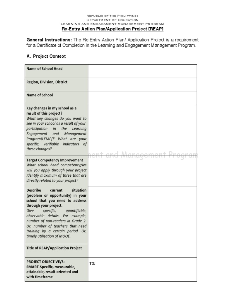 REAP Format | PDF | Business | Cognition