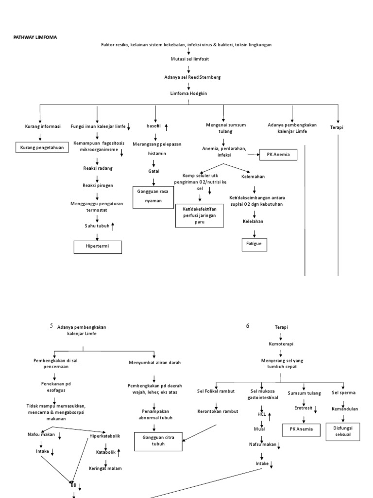 Pathway Limfoma Hodgkin | PDF