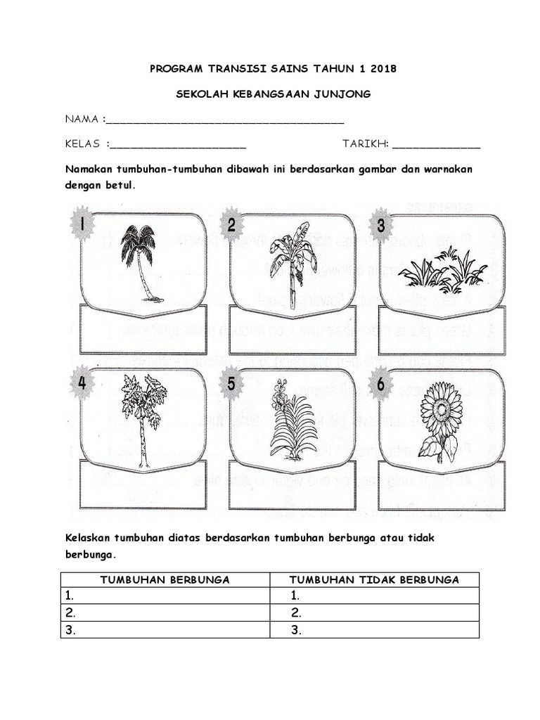 Program Transisi Sains Tahun 1 2018 | PDF