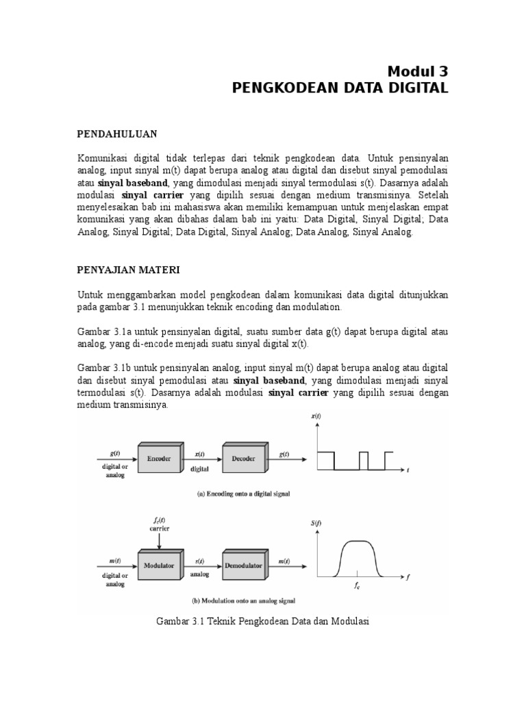 Modul 3 - Pengkodean Data | PDF