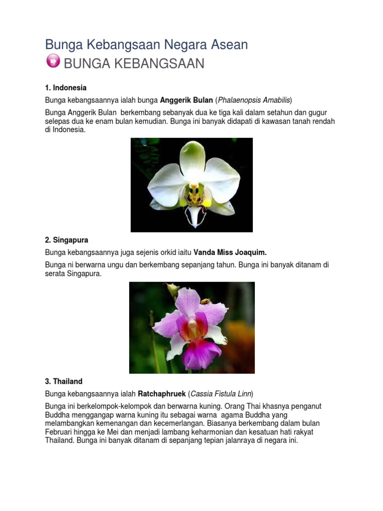 Bunga Kebangsaan Negara Asean | PDF