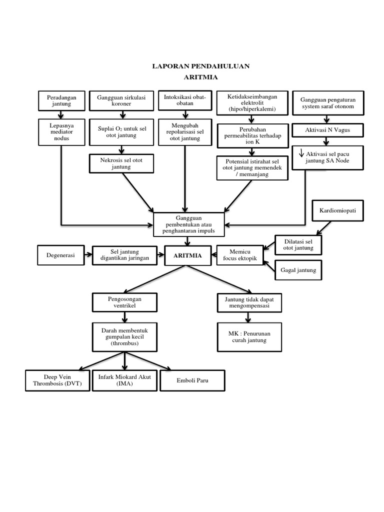 LP Aritmia Mapping | PDF
