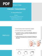 Clasificación de Fimosis Kayaba | PDF | Mamíferos machos | Pene