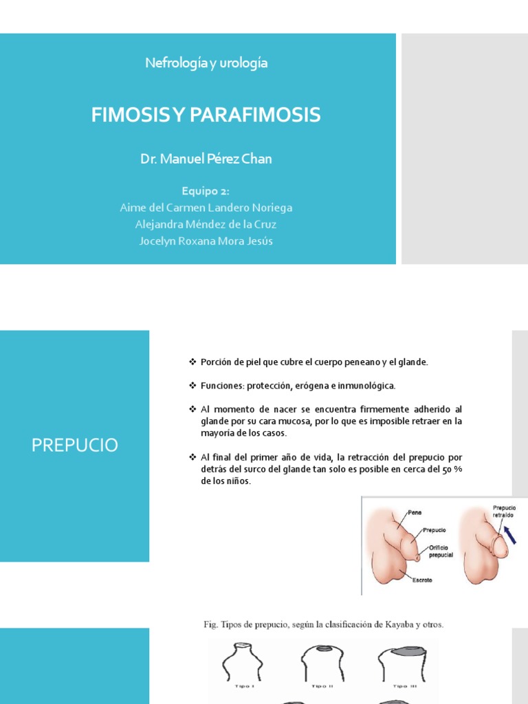 Fimosis y Parafimosis | PDF | Mamíferos machos | Sistema reproductivo ...