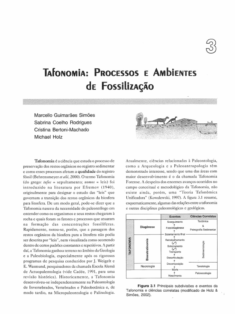 Cap 03 Tafonomia Processos e Ambientes de Fossilizacao | PDF ...
