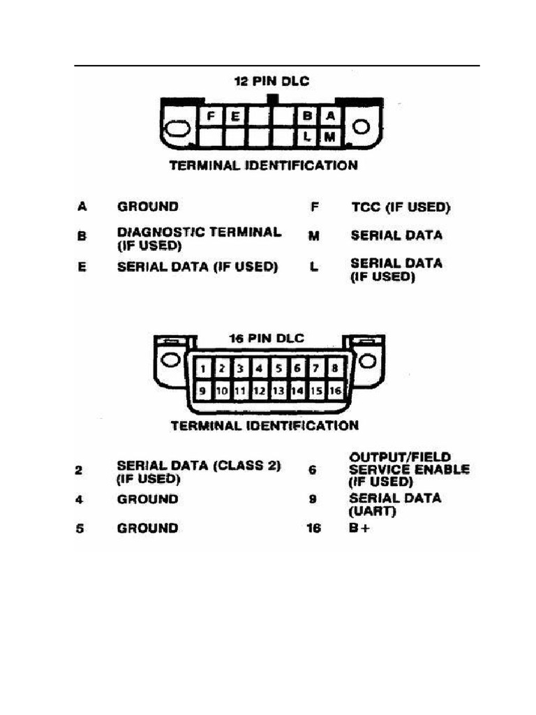 Conector DLC de 12 y 16 Pines | PDF
