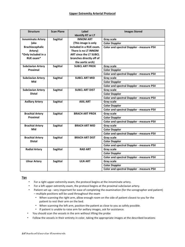 Upper Extremity Arterial Protocol 14 PDF | PDF | Blood Vessel | Cardiovascular System