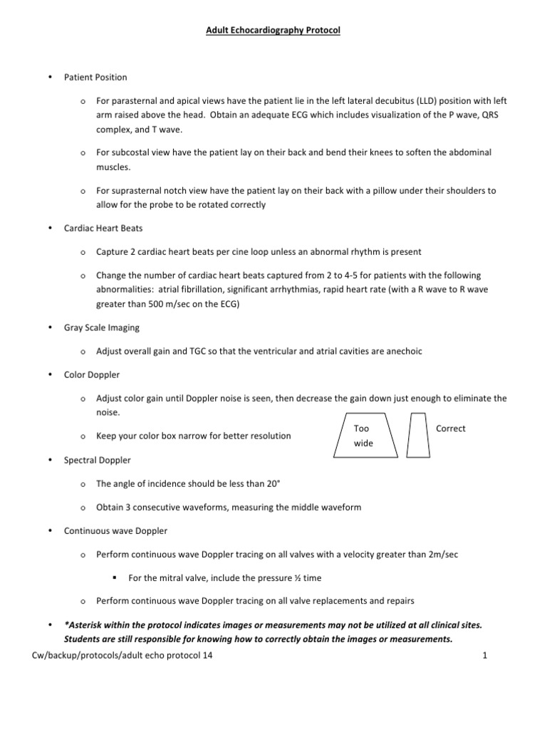 Adult Echocardiography Protocol 14 PDF | PDF | Heart Valve | Ventricle ...