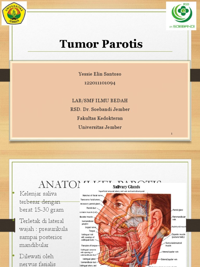 Tumor Parotis Fix | PDF