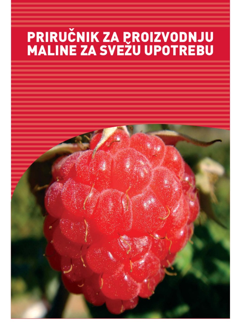 Malina | PDF