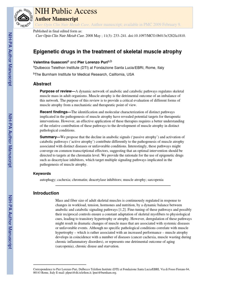 Epigenetic Drugs for Muscle Atrophy Treatment | PDF | Autophagy ...
