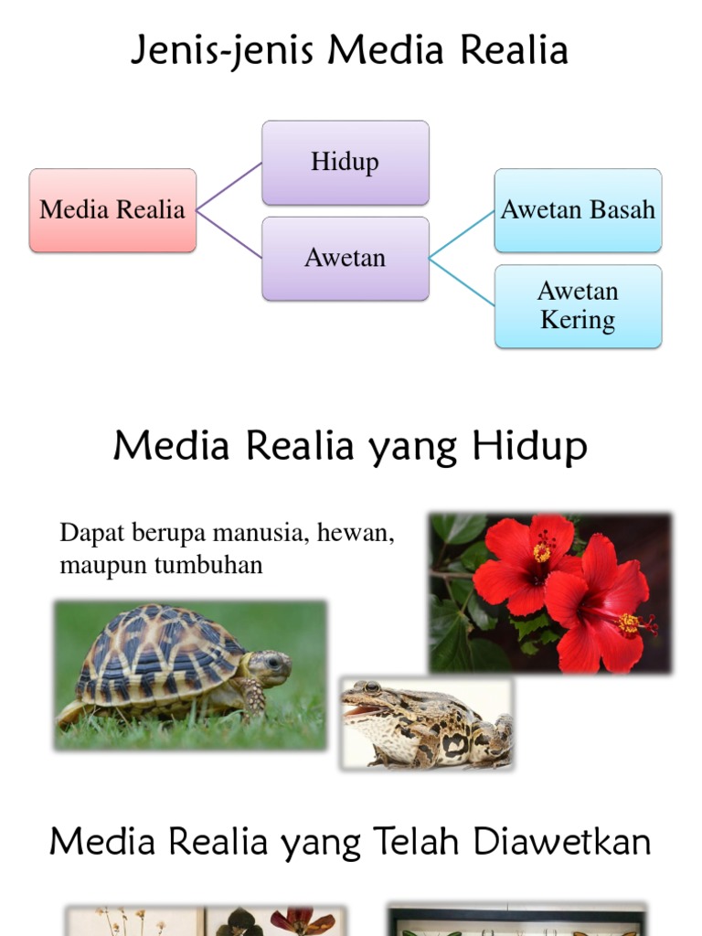 Jenis-Jenis Media Realia | PDF | Ilmu Sosial