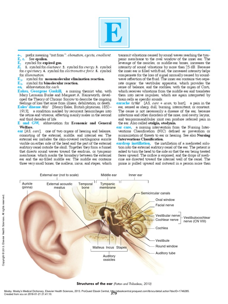 Mosby's Medical Dictionary (E) | PDF | Ear | Auditory System
