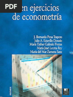 100 Ejercicios Resueltos de Econometría | PDF