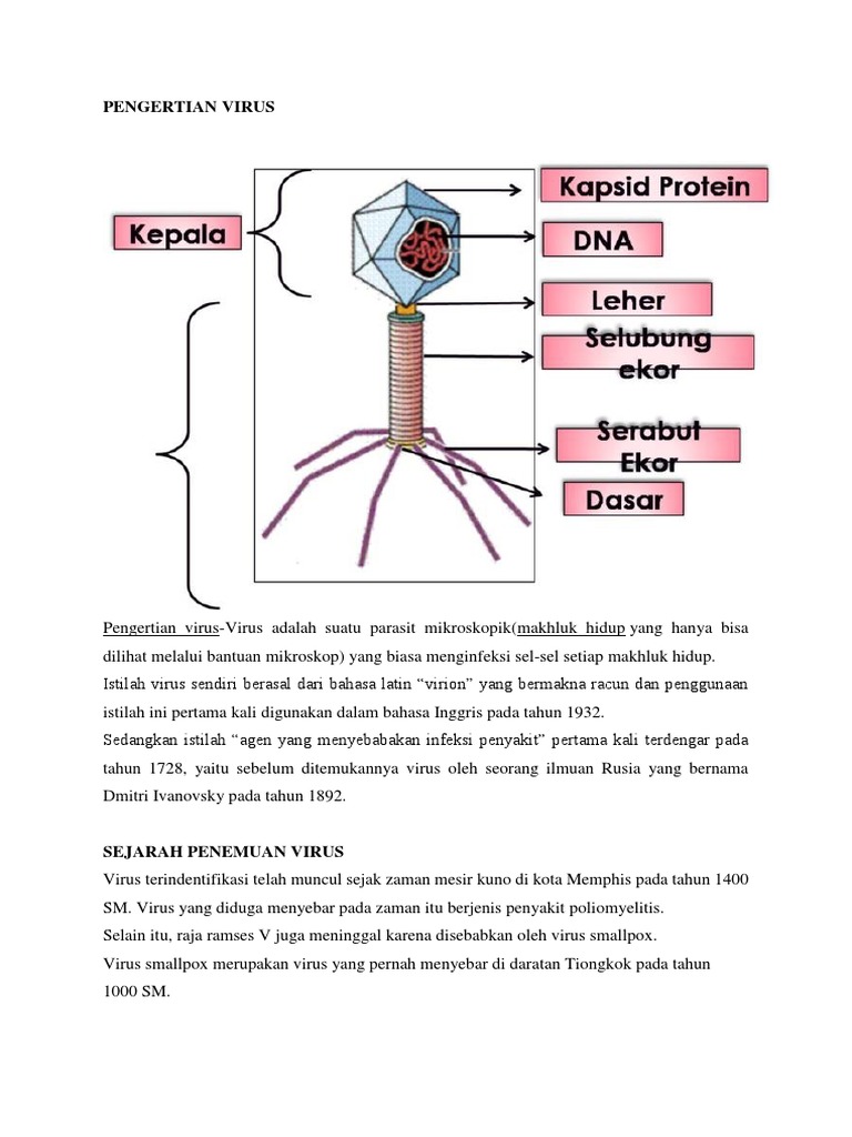 Pengertian Virus | PDF | Ilmu Sosial