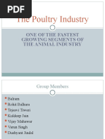 Hand Book of Poultry Farming and Feed Formulations | PDF | Chicken ...