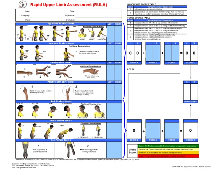 RULA Smart Form | PDF | Anatomical Terms Of Motion | Musculoskeletal System