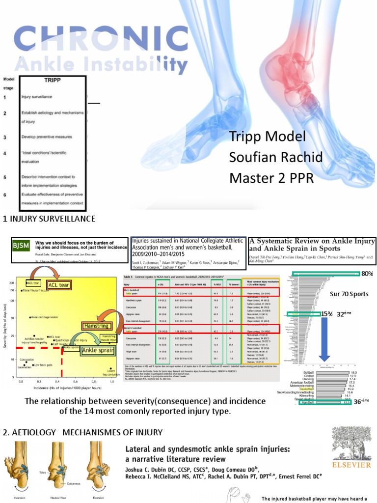 Tripp Model Soufian Rachid Master 2 PPR | PDF | Ankle | Preventive ...