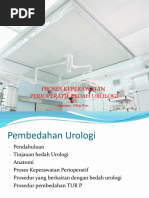 LP Urs (Uretronoscopy) | PDF