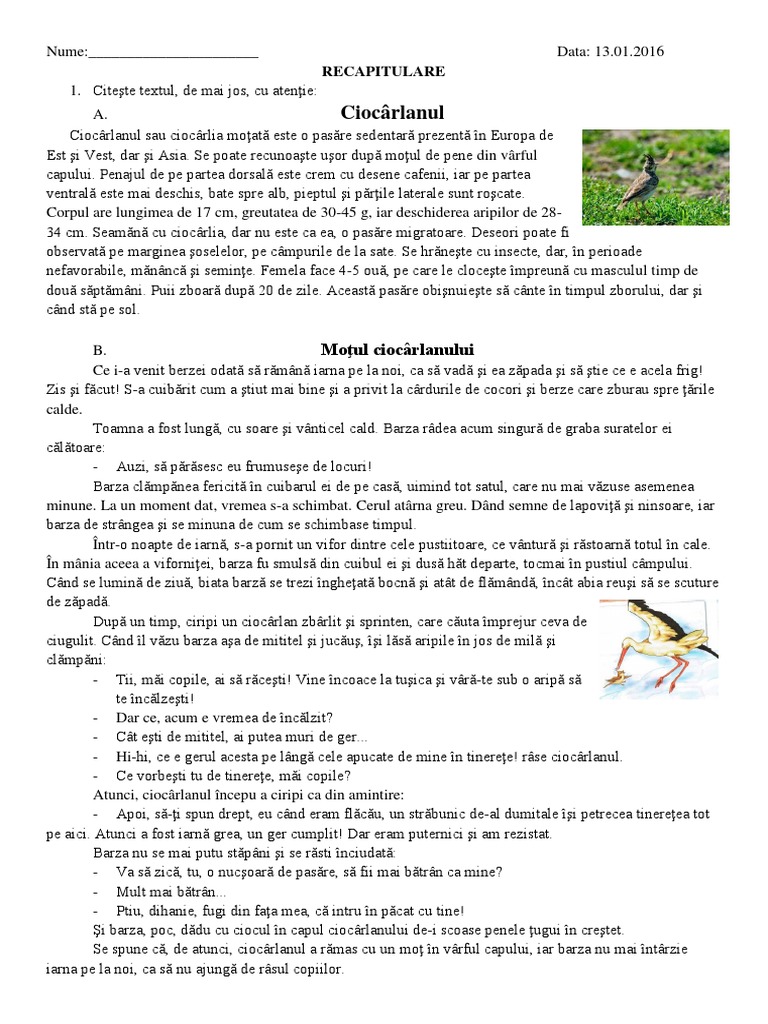 Textul Nonliterar Si Literar Recapitulare | PDF