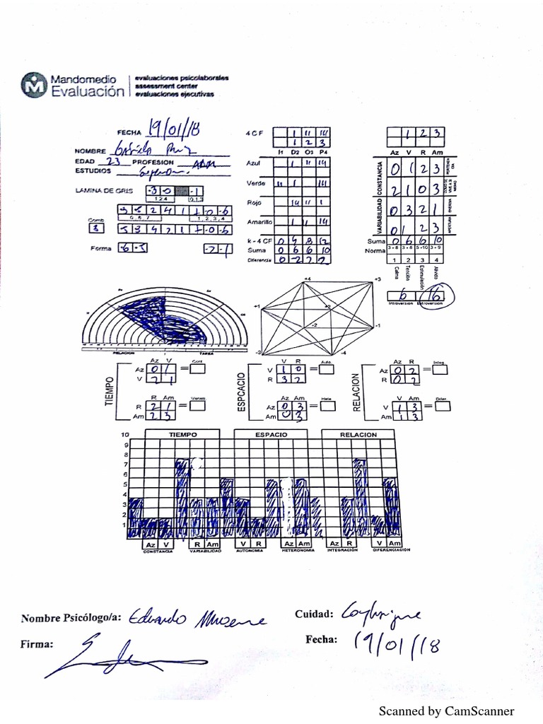 Protocolo Luscher | PDF