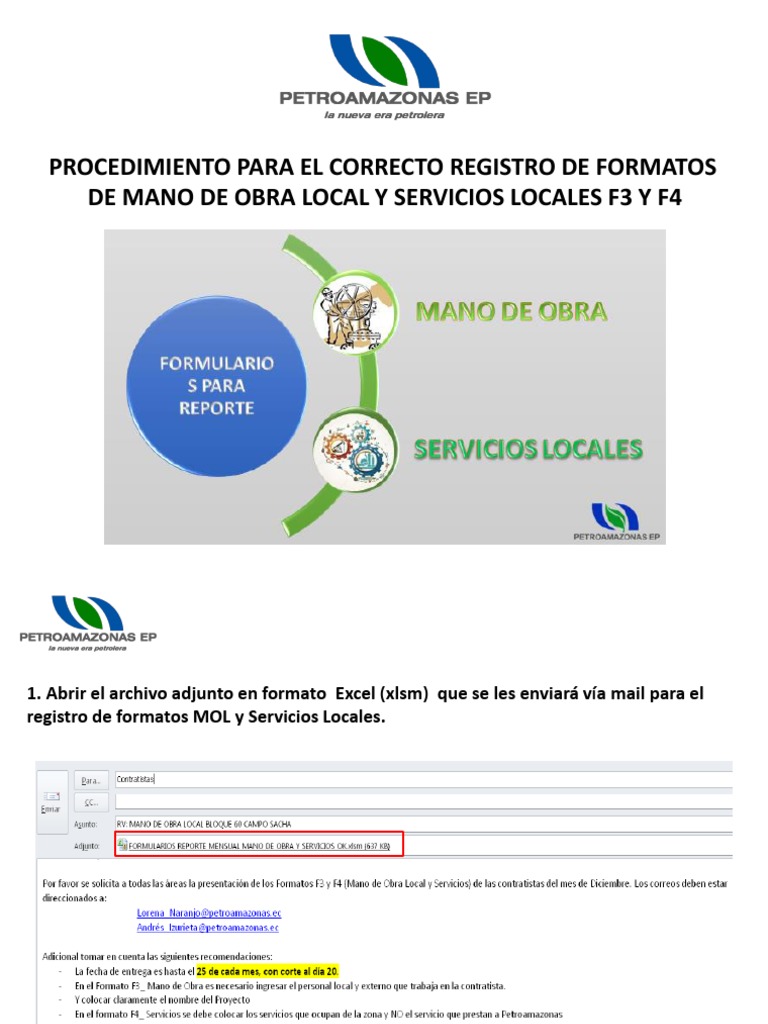 Presentación Forma de Llenar Formatos F3 y F4 | PDF | Informática y ...