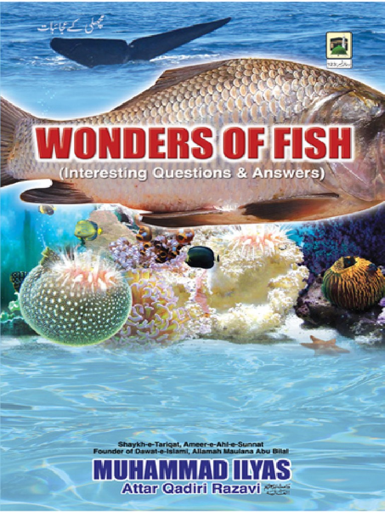 Wonders of Fish - Interesting Questions & Answers | PDF | Curry | Whales