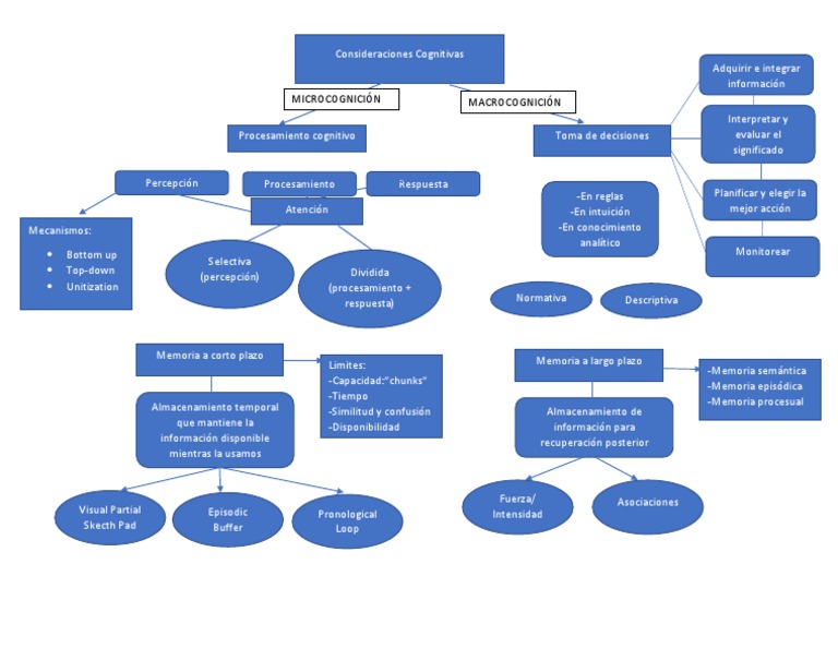 Mapa Conceptual Mieles | PDF | Memoria | Sistema límbico