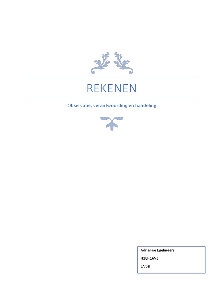 Rekenen Observatie en Uitwerking | PDF
