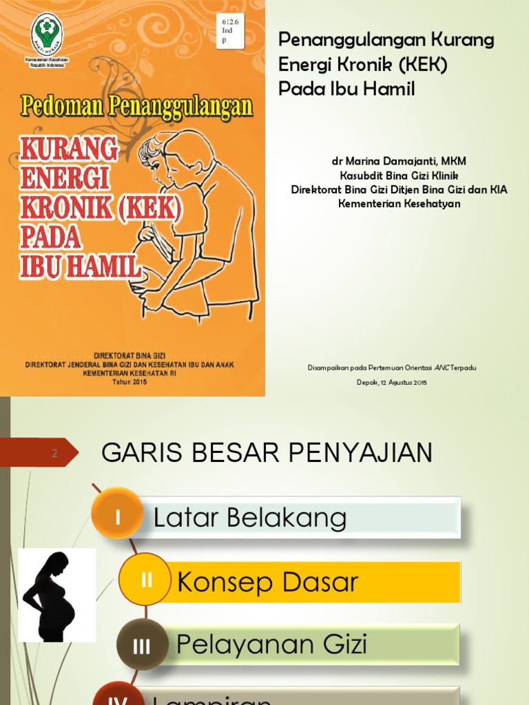 Buku Pedoman Penanggulangan Ibu Hamil Kek PDF | PDF