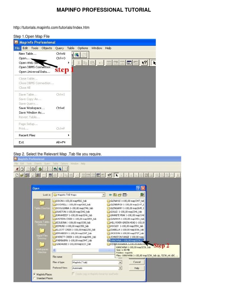 Tutorial Mapinfo Professional | PDF | Software | Computing