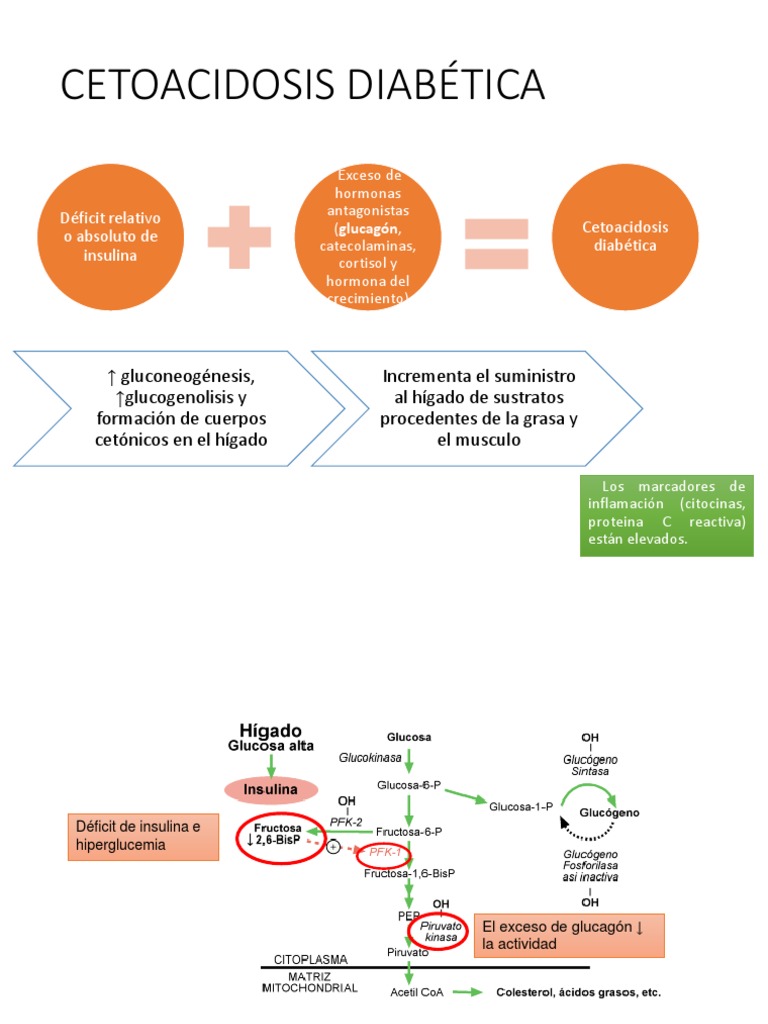 Cetoacidosis Diabética | PDF | Endocrino | Medicina CLINICA