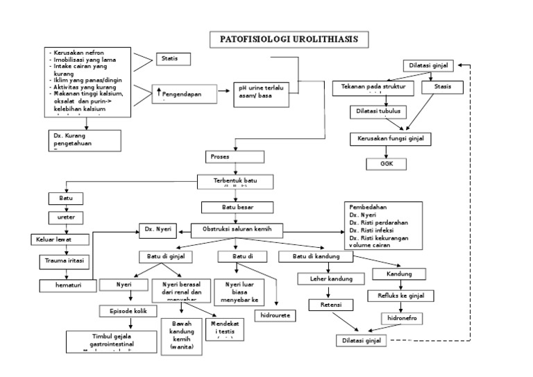 Patofisiologi Urolithiasis | PDF