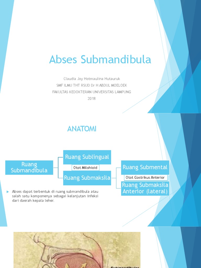 Abses Submandibula | PDF