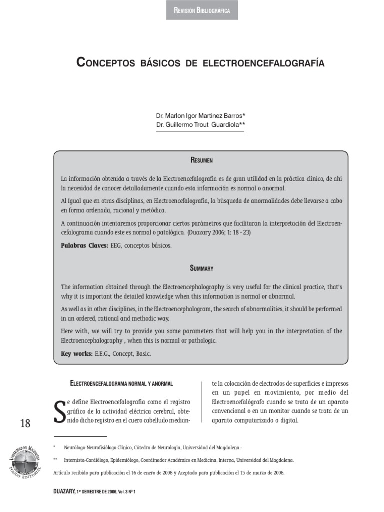 Conceptos Basicos PDF | PDF