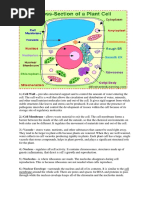 Profile of NSIC RC 160 and 218 | PDF | Crops | Agronomy