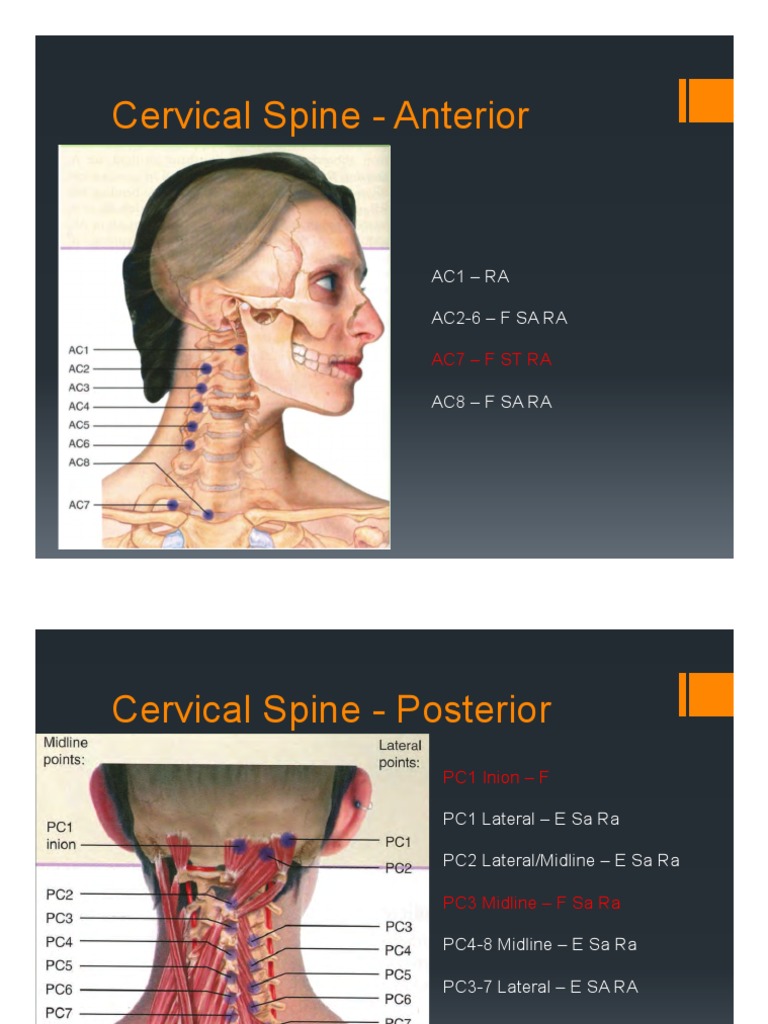 OMM Counterstrain | PDF | Ankle | Anatomical Terms Of Location