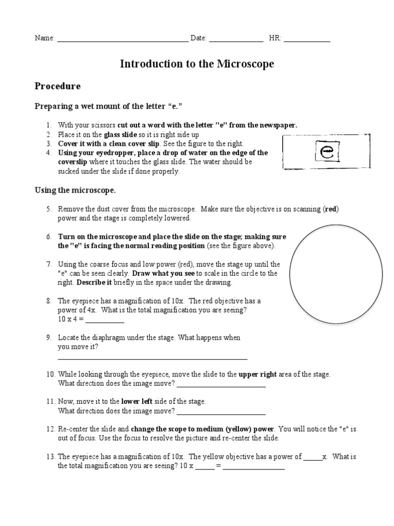 Microscope Lab Activity: Letter E Focus | PDF | Optical Devices ...