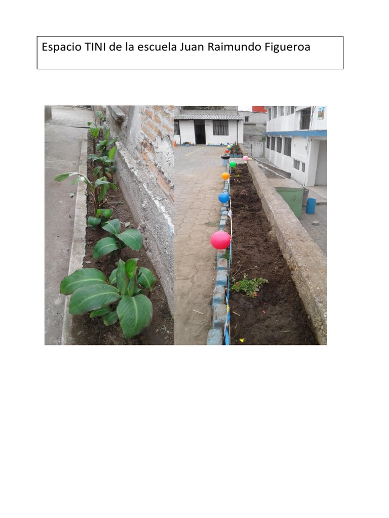Escuela Juan Raimundo Figueroa | PDF