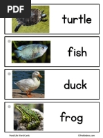 Year 4 Module 8 Amazing Animals Worksheets | PDF | Tiger | Tyrannosaurus