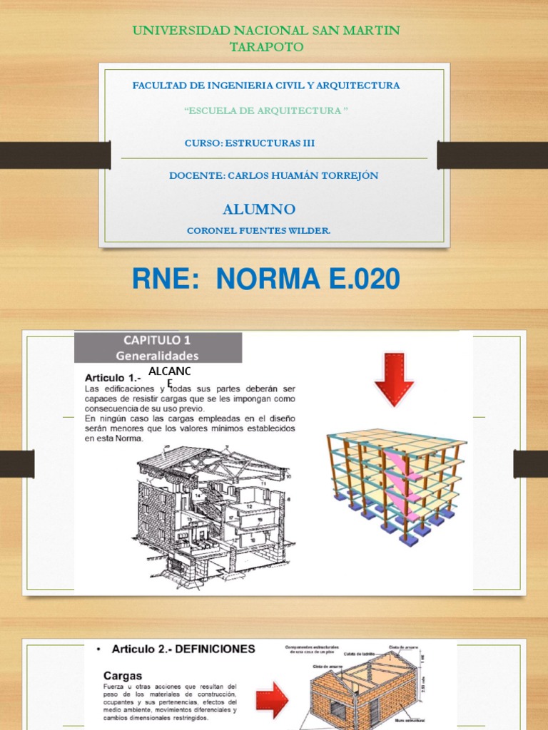 Rne Norma E.020 | PDF | Ciencia y matemáticas | Tecnología
