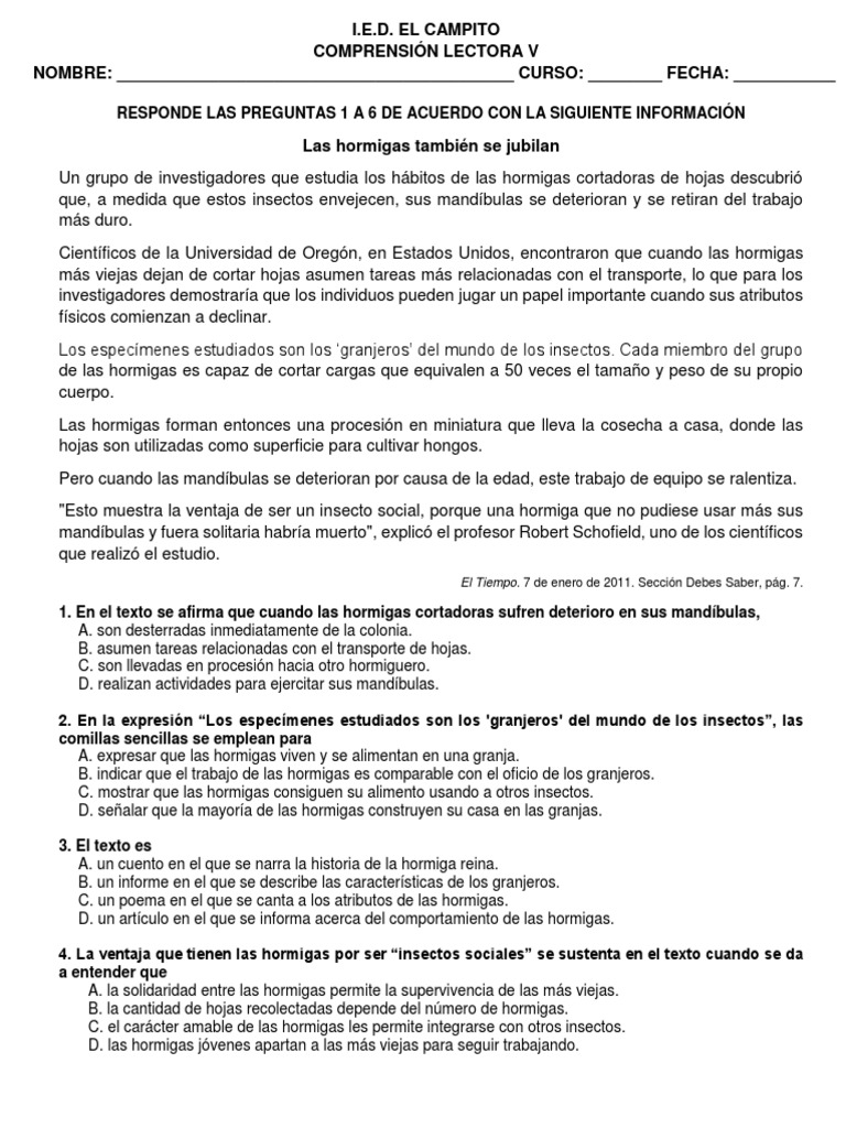 Comprension Lectora Las Hormigas | PDF | Hormiga | Insectos