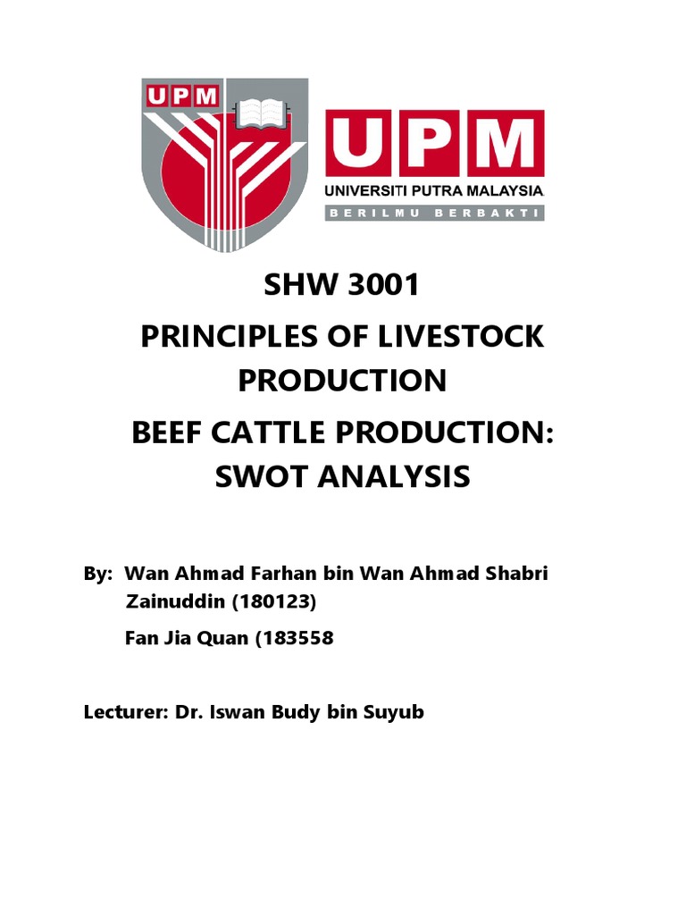 SWOT Beef Cattle | PDF | Cattle | Beef