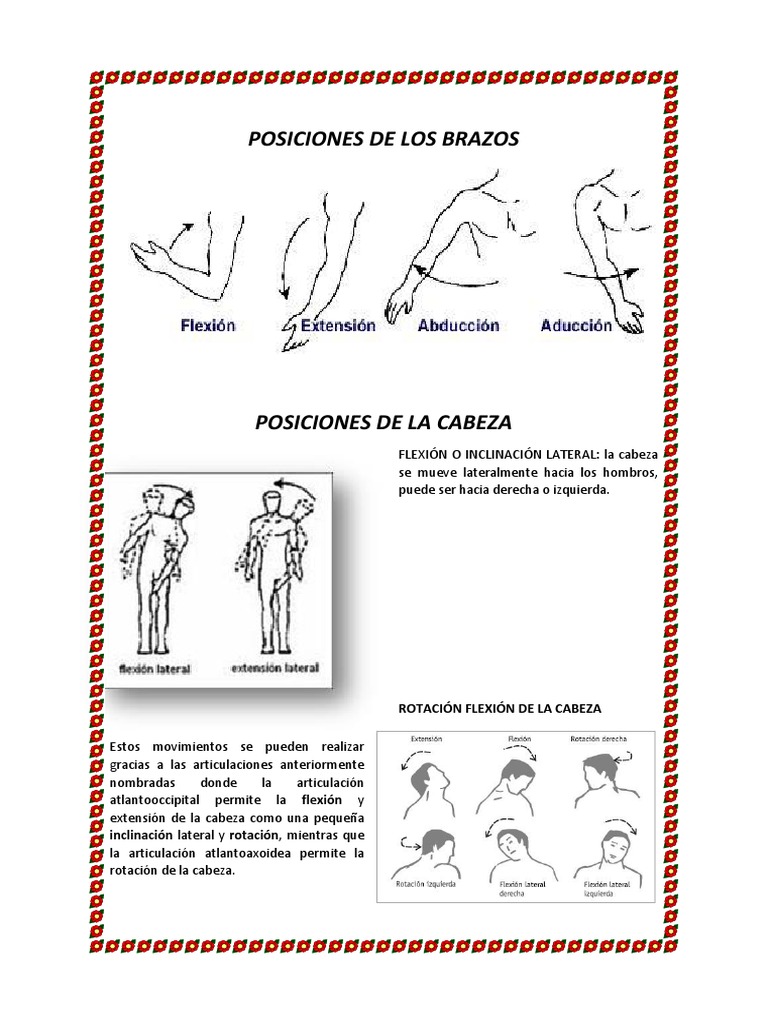 Posiciones de Los Brazos | PDF