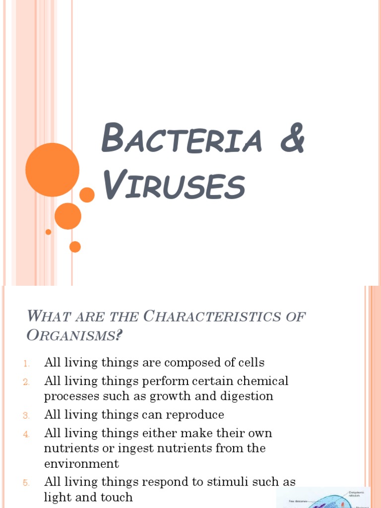 Bacteria and Viruses Notes | PDF | Infection | Virus