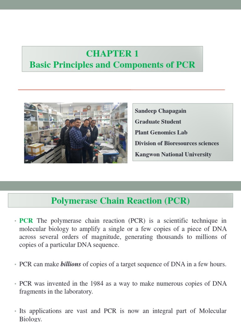 Principles of (PCR) Polymerase Chain Reaction and Expression Analysis ...